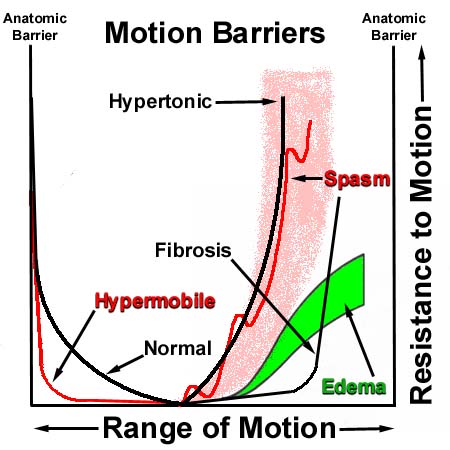 Home | Visualization of Osteopathic Principles and Practice