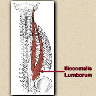 Visualization Technology